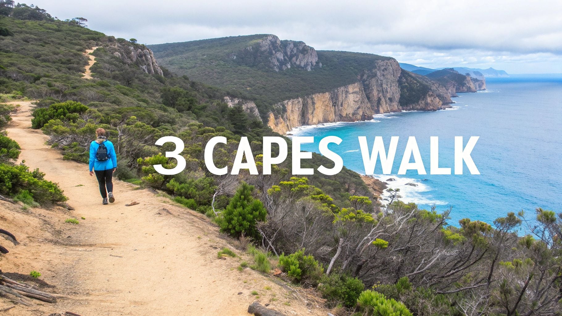 Your Guide to the 3 Capes Walk in Tasmania - Tasmania Tours