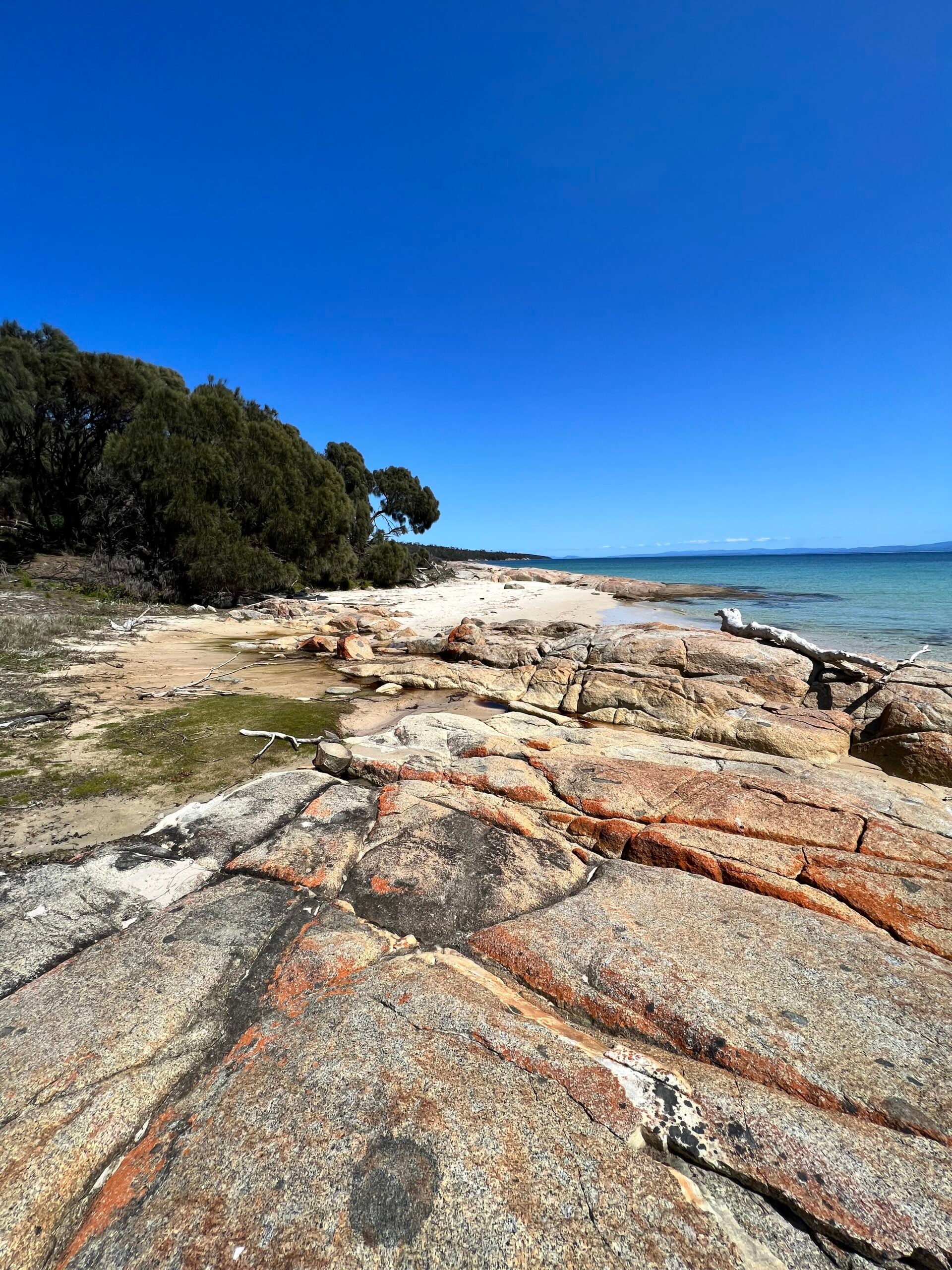 Why You’ll Love a Tour of Tasmania - Tasmania Tours